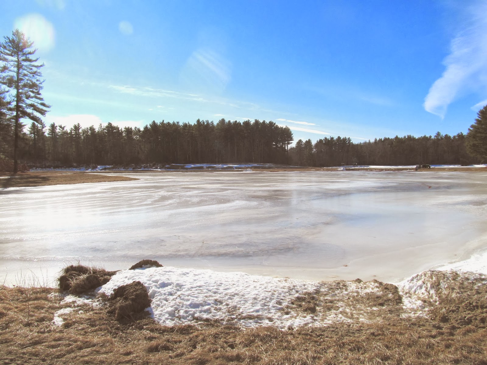 Elaine's Creative Works: Winter Ice Sanding on the Cranberry Bogs