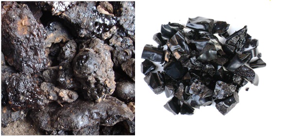 Origin of Shilajit - Herbal Medicine Plants