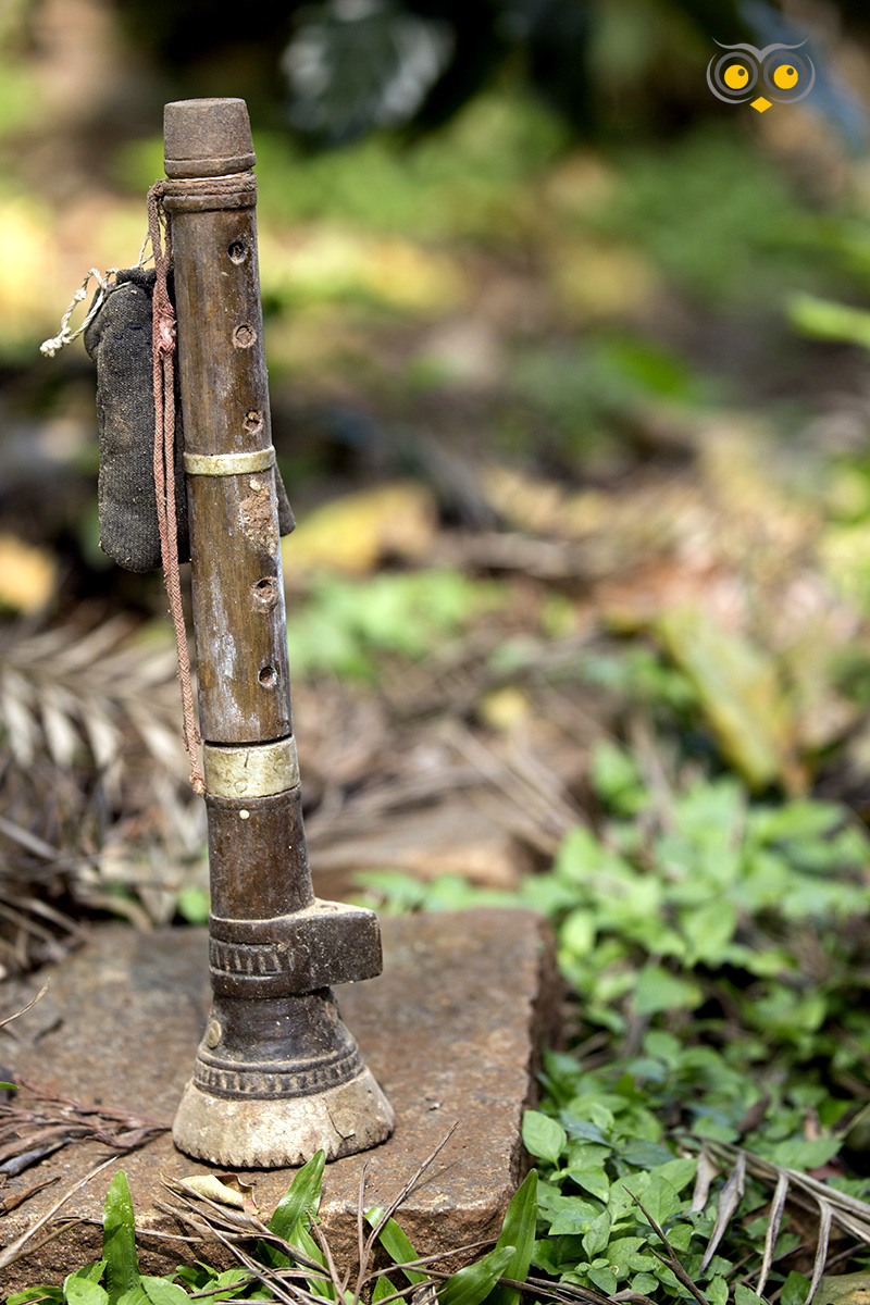 Spotted Owlets: The Soligas - Lifestyle, Worship and Rituals