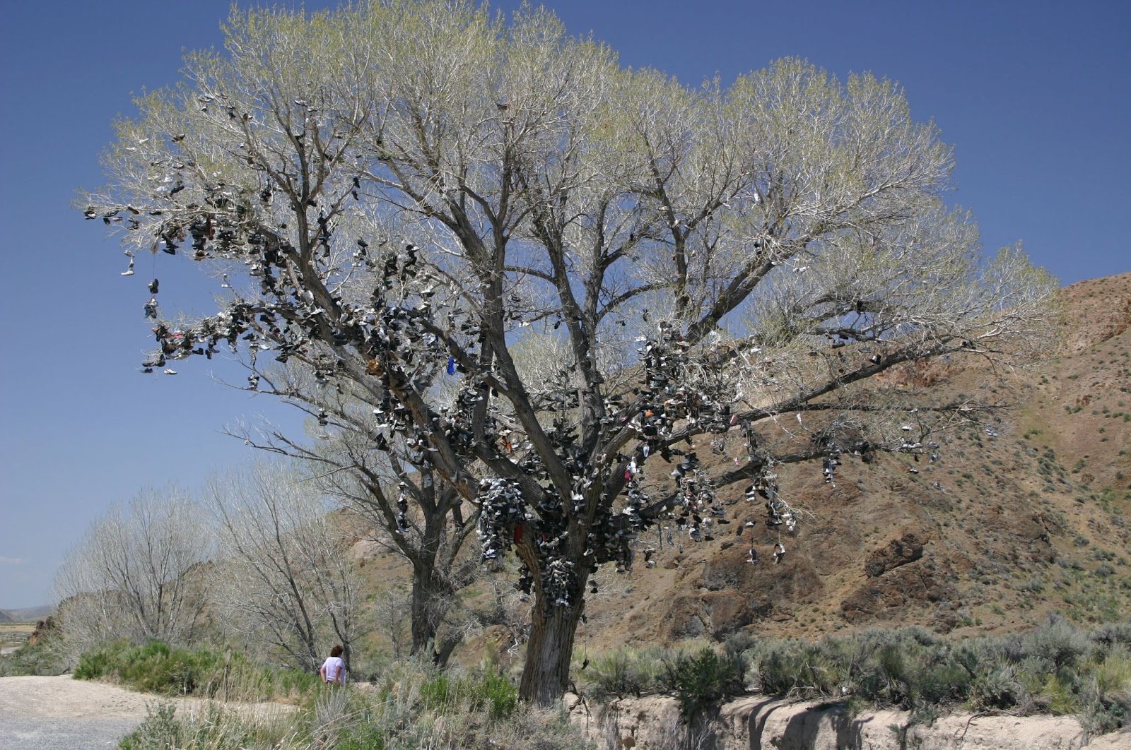 Running From Moose: Utah Part II: Hail Mary Pass