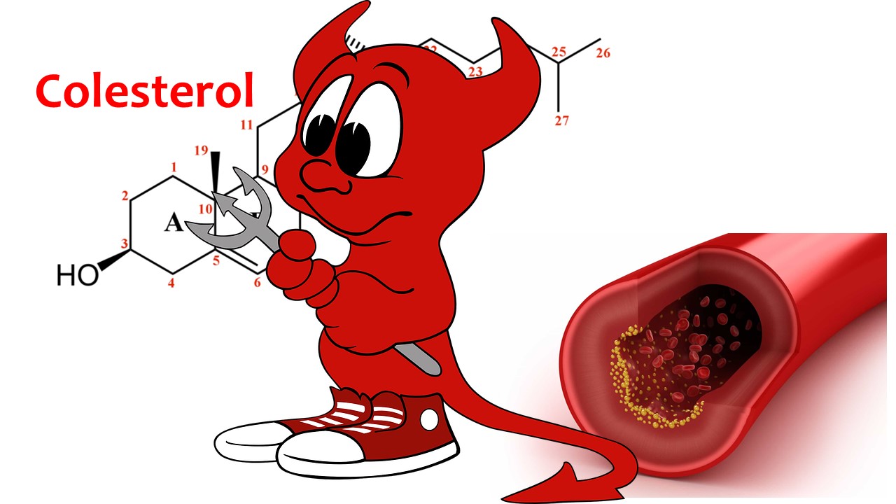 Alimentación activa: Hablemos sobre el colesterol