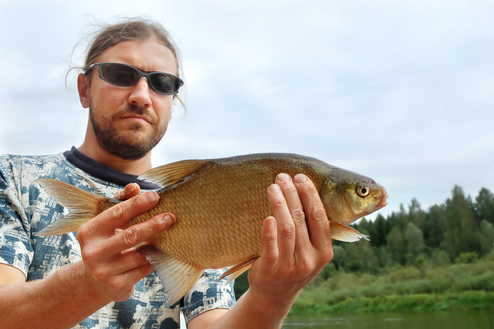 In letzter Sekunde: Aufmerksamer Spaziergänger rettet Fisch vor dem ...