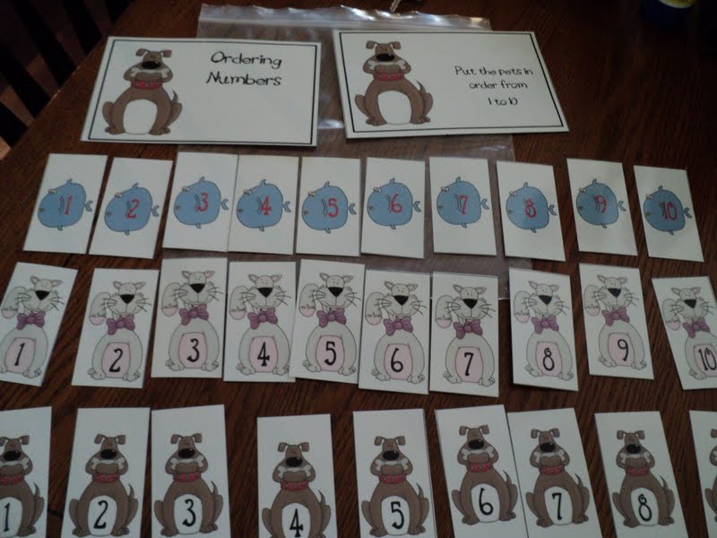 A special kind of class: Pet math station activities