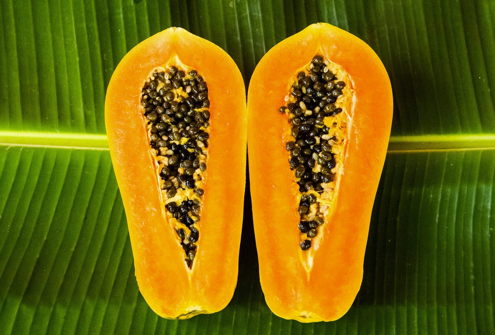 5 Papa Health Benefits You Must Know ~ Health Dot