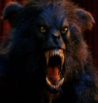 The Sky Has Fallen: Silver Screen Werewolves