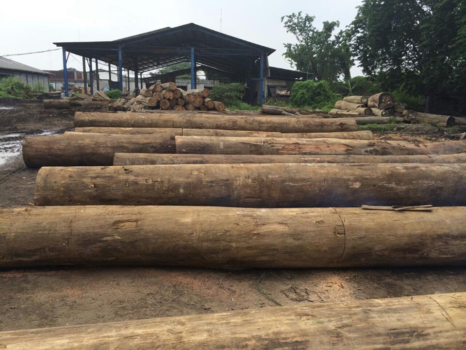 Aneka Barang dan Jasa: Jual Log Kayu