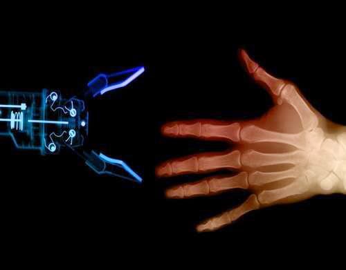 Enroque de ciencia: Animado e inanimado