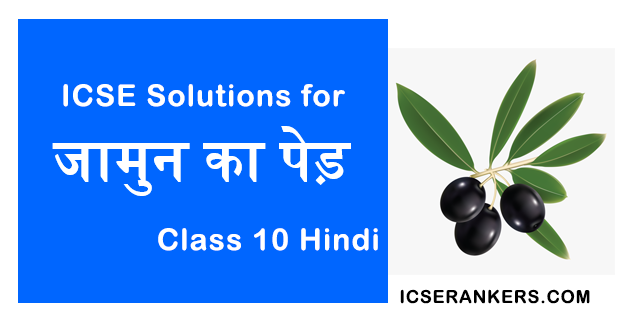 Questions And Answers Class 10 Sahitya Sagar questions-and-answers-class-10-sahitya-sagar