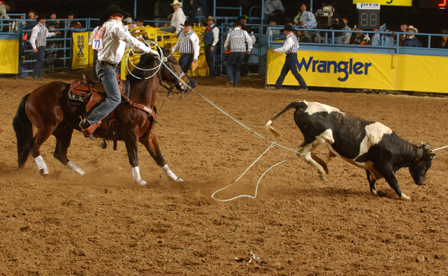 Rodeo Events: Team Roping