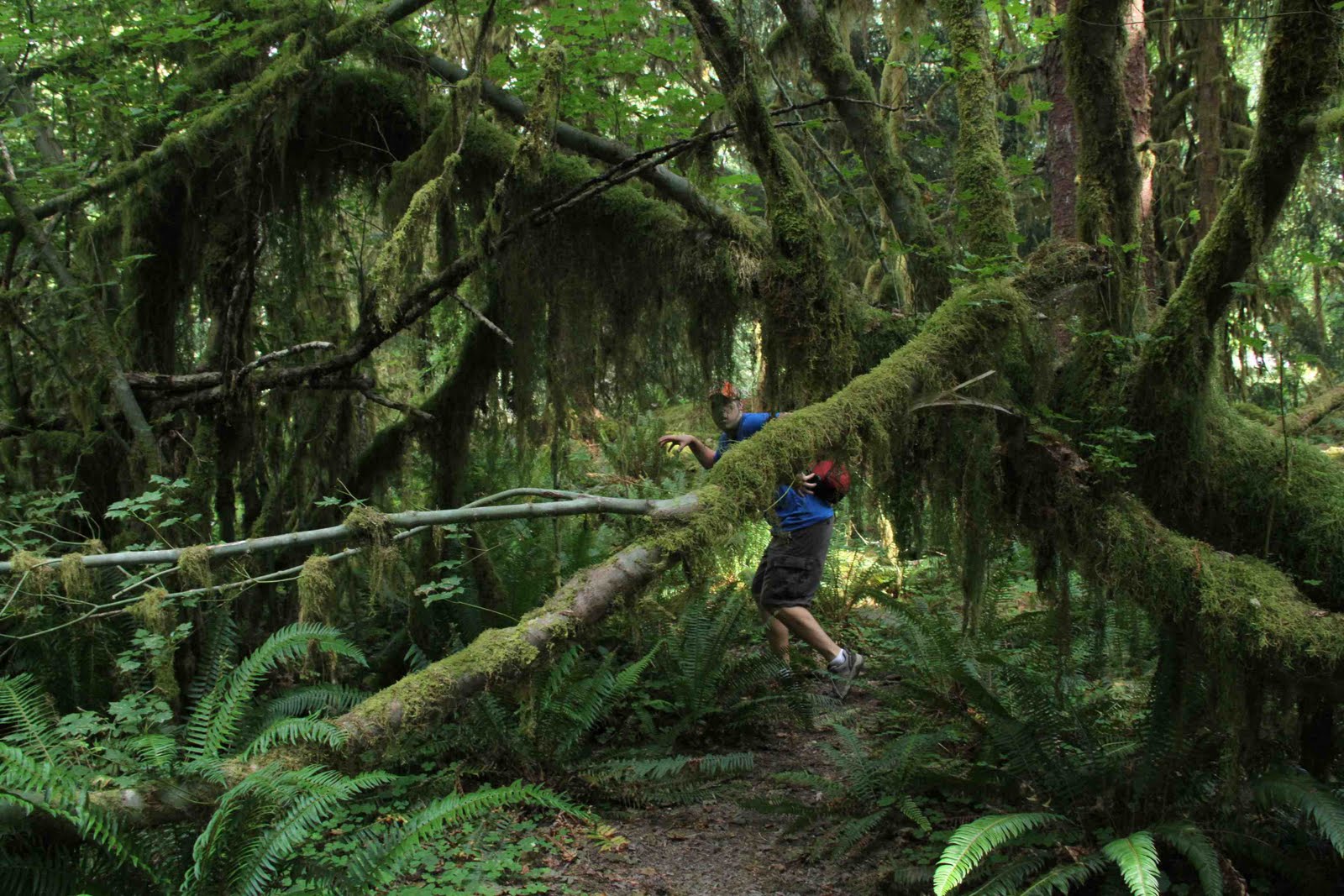 I Went There Too: August 4 Portland - Forks - Hoh Rainforest - La Push