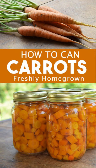 Learn how to Can Carrots - Healthy Lifestyle