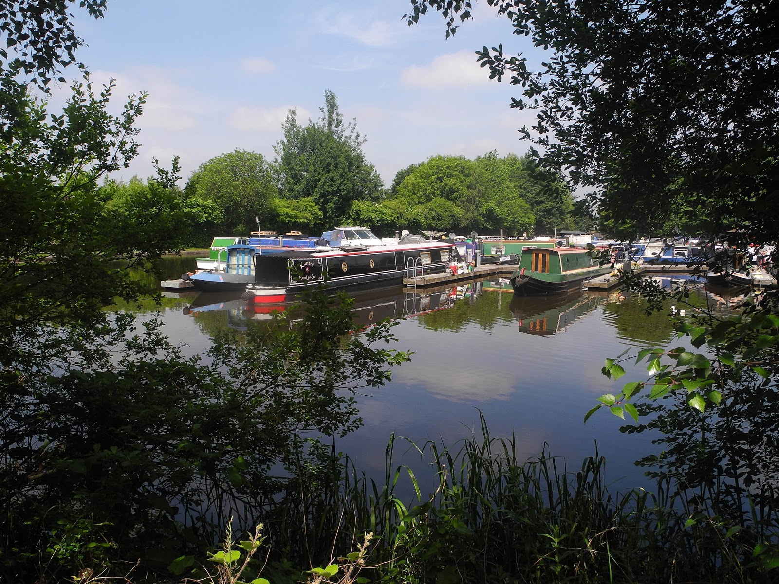 South-West Yorkshire (VC63) Botany Group: Sheffield and Tinsley canal