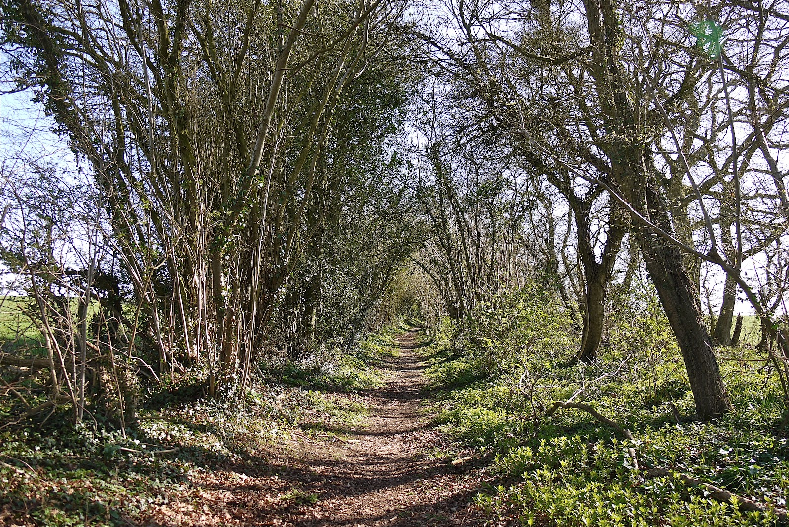 Walking in the country: Breach Farm Cottages to Brown Candover ...