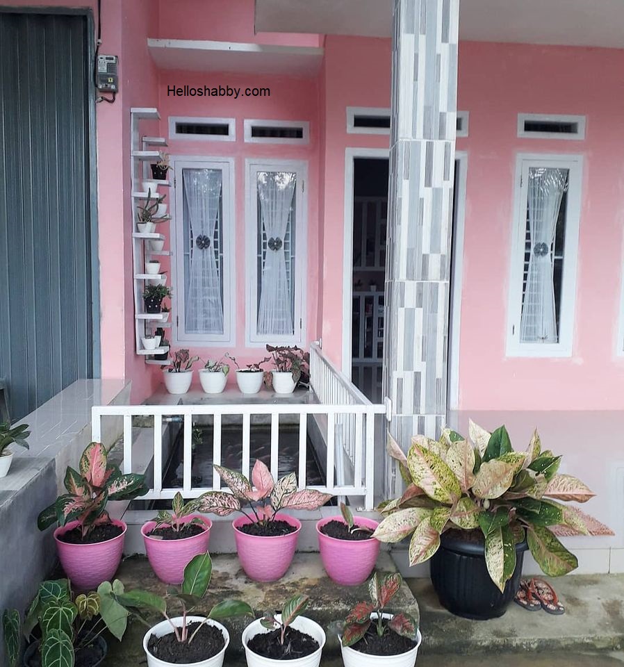 A Classy and Elegant Pink House Design, That Simple and Easy to Try at ...