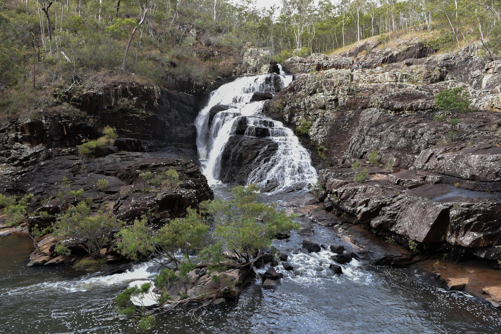 To Catch Sight Of.: Tumoulin State Forest