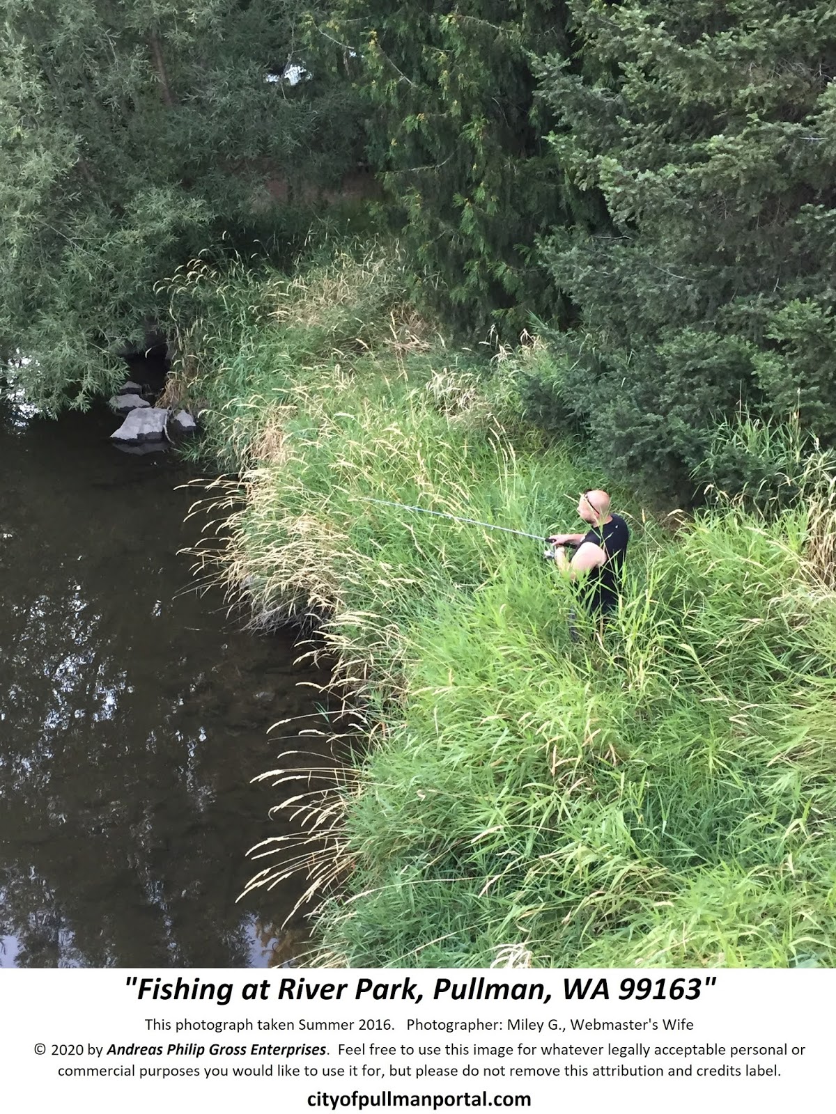 City of Pullman Portal: The Parks of Pullman