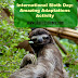 Share it! Science : International Sloth Day: Amazing Adaptations Activity