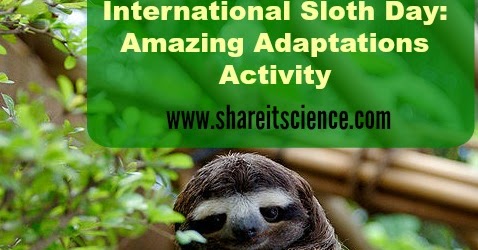 Share it! Science : International Sloth Day: Amazing Adaptations Activity