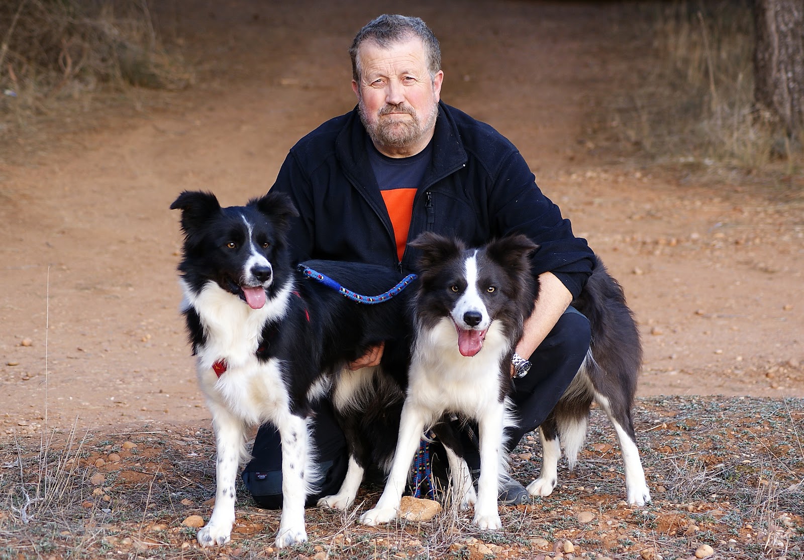 Kennel Border Collie "Intuición Canina Carácter y Belleza": Mirada ...