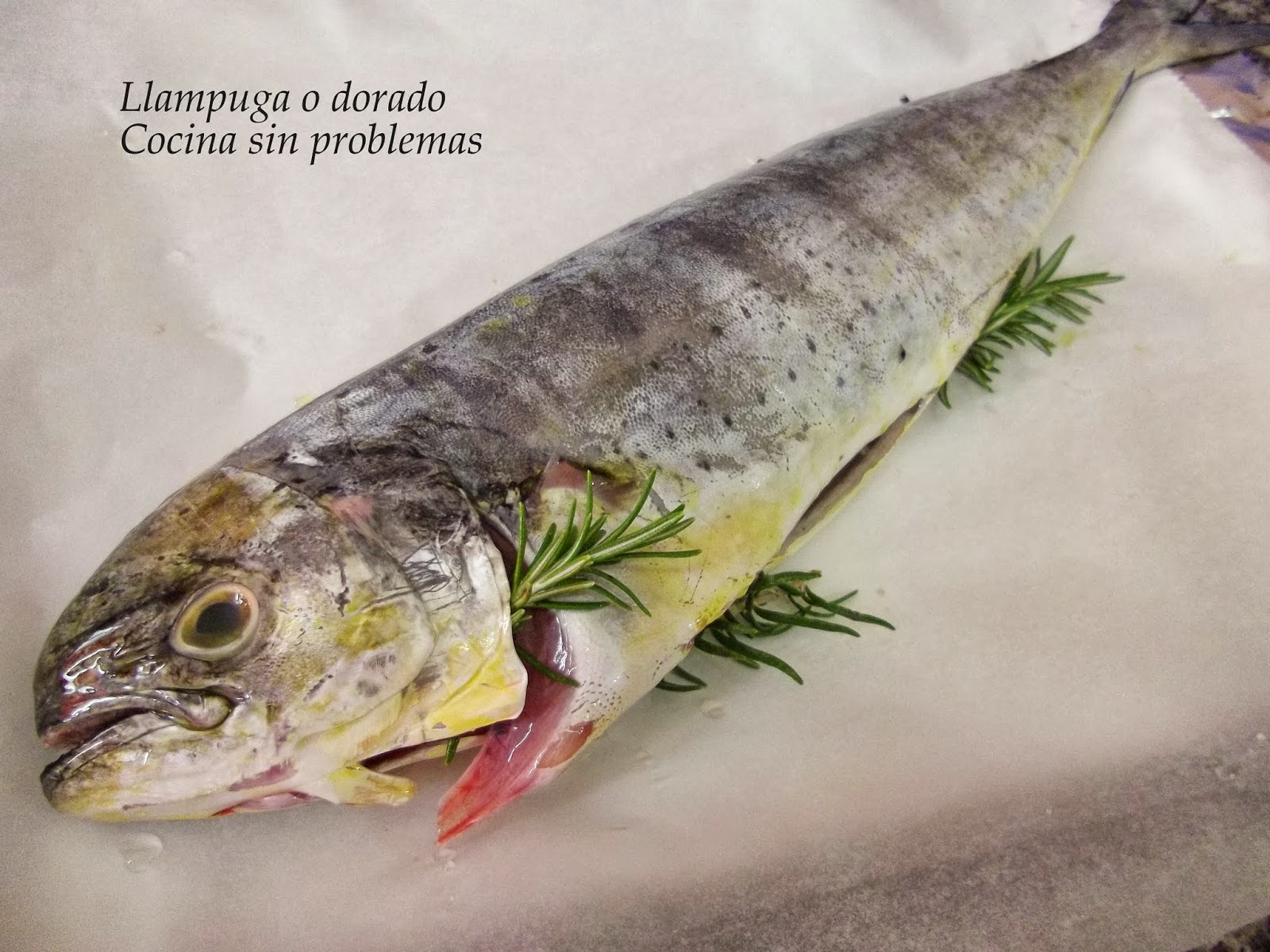 cocina sin problemas: Llampuga al horno con romero y su guarnición.