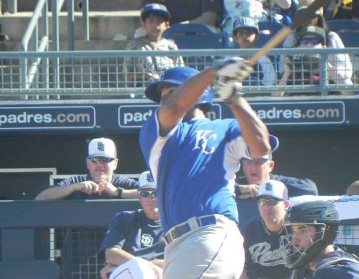 Screwball Pitcher: Baseball Hitting Instruction Program With Pro Matt ...