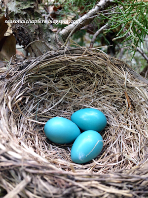 Seasonal Chapters: The Beauty of Spring and the Promise of New Beginnings