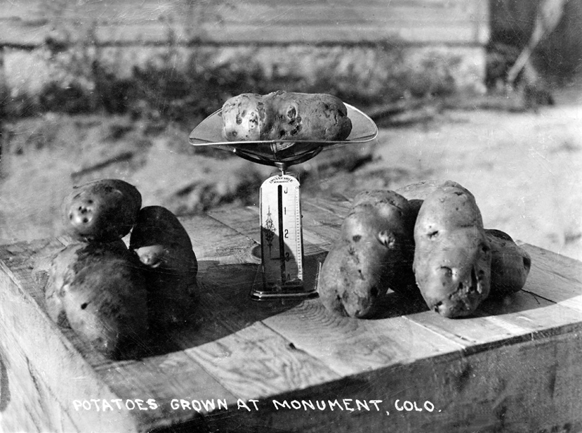 Restless native: Potato key from Inca Empire, to Ireland, to Divide country
