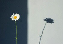 copic oz: Casting a Shadow