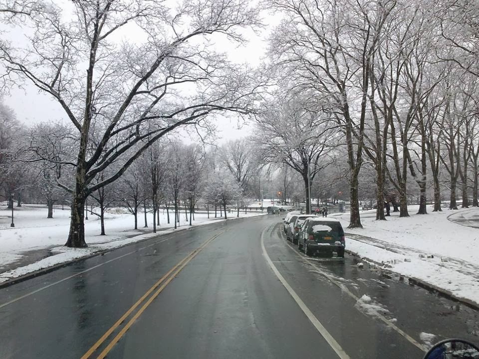 VIDEO; Nevando En La Ciudad De NUEVA YORK 11.10.13. ~ PUEBLO NUEVO NEWS