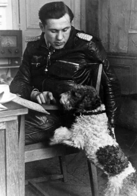 World War II in Pictures: Dogs of World War II