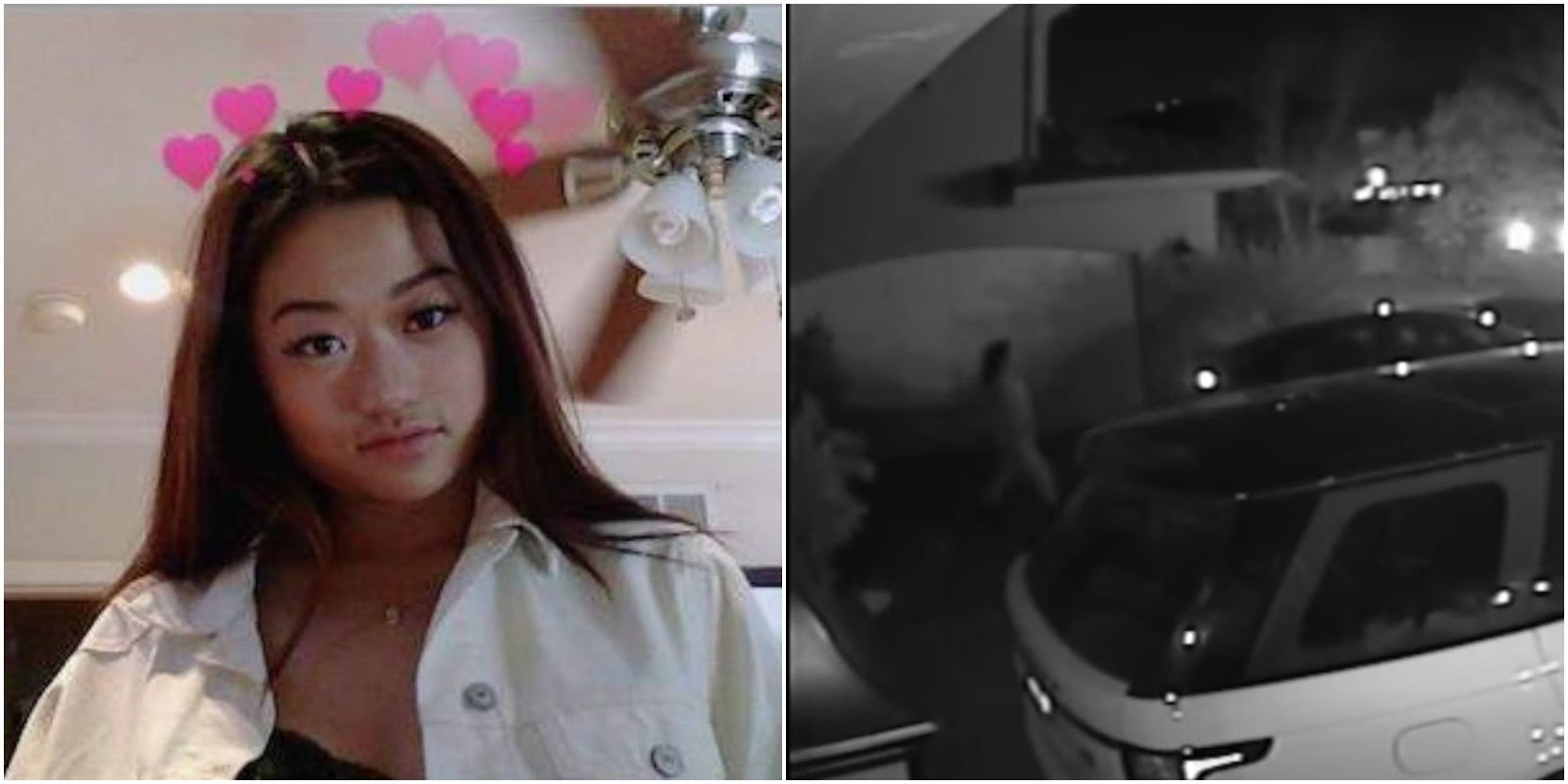 True Case Files: List Series: Unsolved Mysteries with Surveillance Footage Volume II