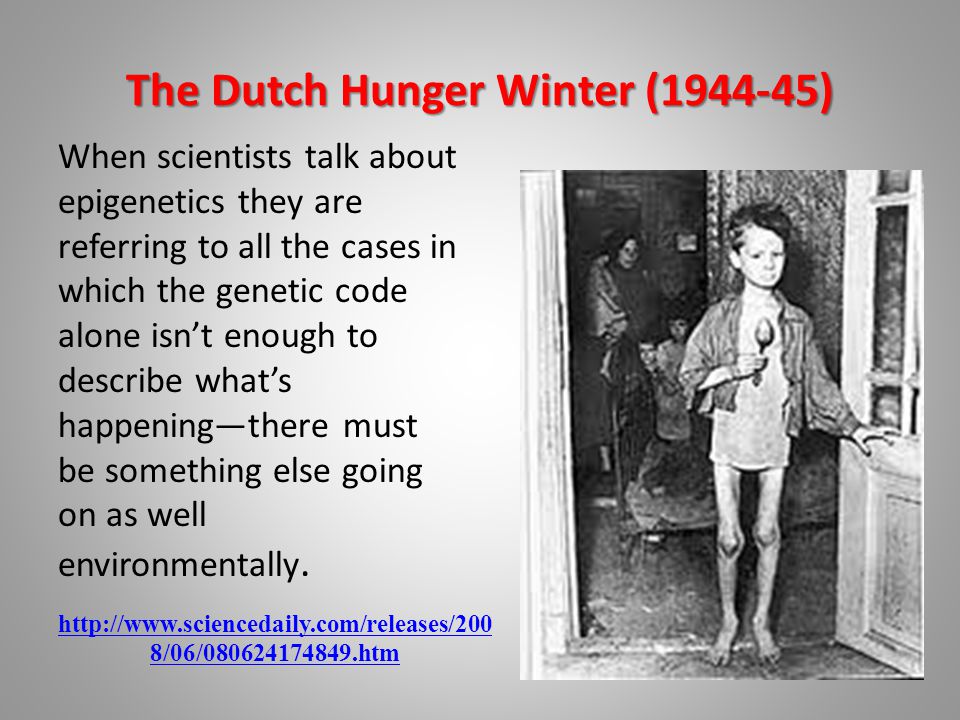 Dig Deeper: Creation Moment 8/29/2018 - Epigenetics & Dutch Hunger Winter