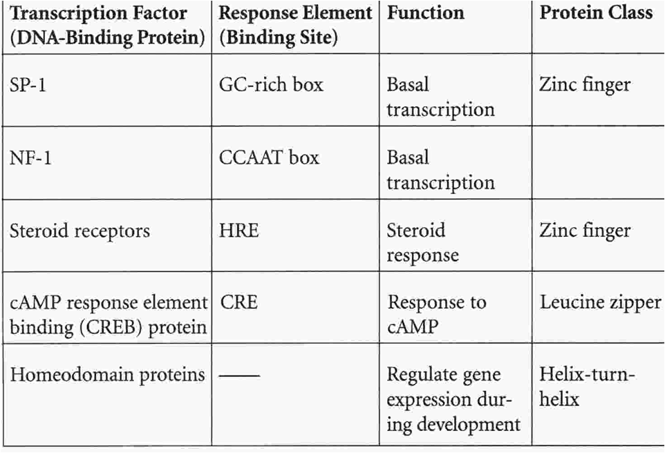 MBBS Medicine (Humanity First): Gene Regulation