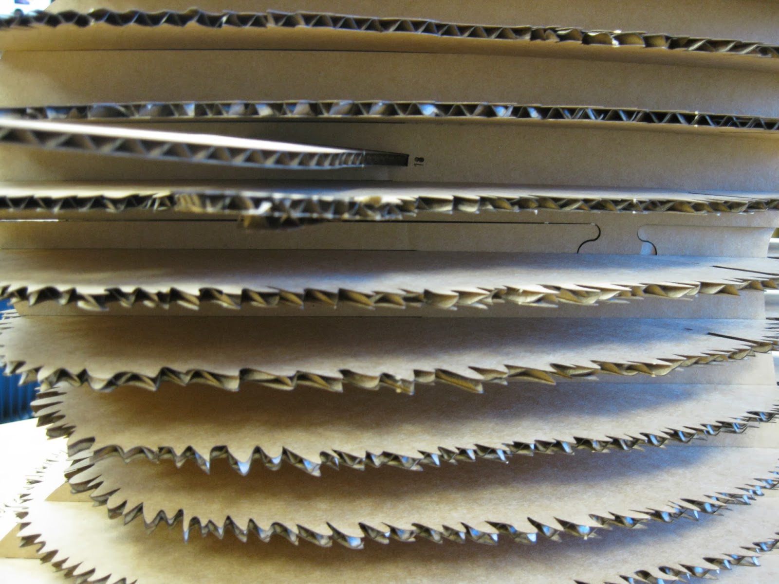 Speaking of History...: American Bison by Cardboard Safari