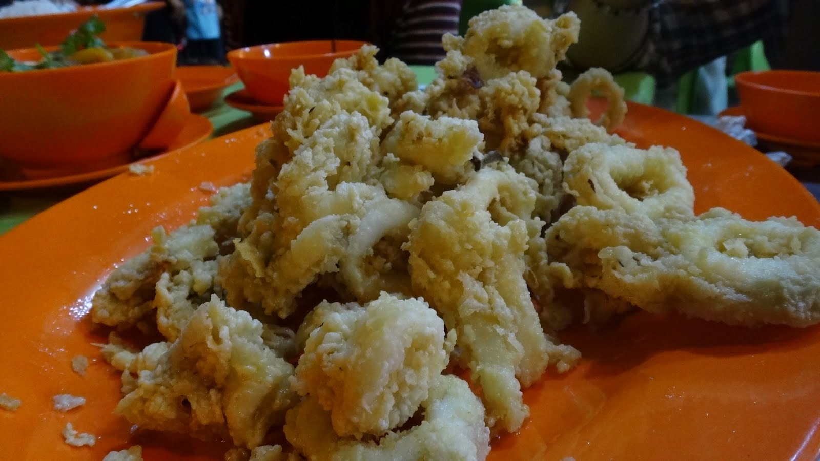 488 : Program Beronok-Ronok Di Paka Terengganu Dan Kuantan Pahang 2012 ...