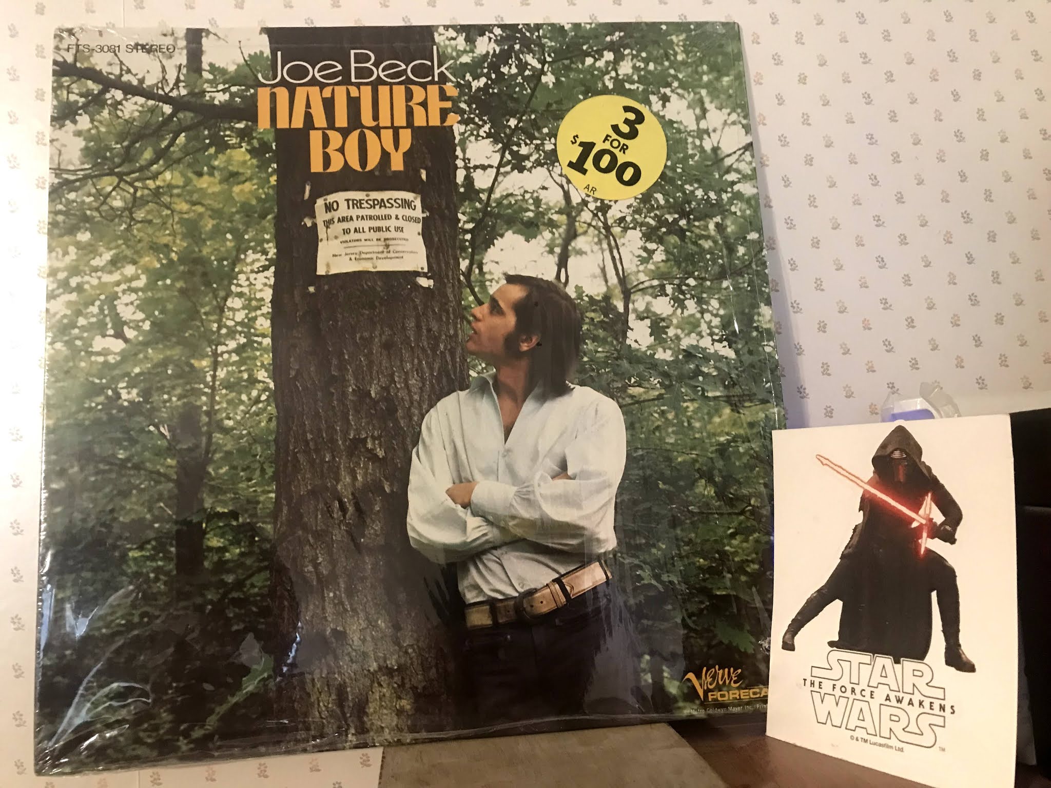 TCCDM Pulls One Out..."Nature Boy" - Joe Beck (1969)