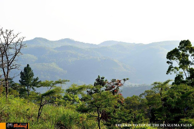 දියළුම දිය ඇල්ල උඩට - "Thirikkale" (තිරික්කලේ)