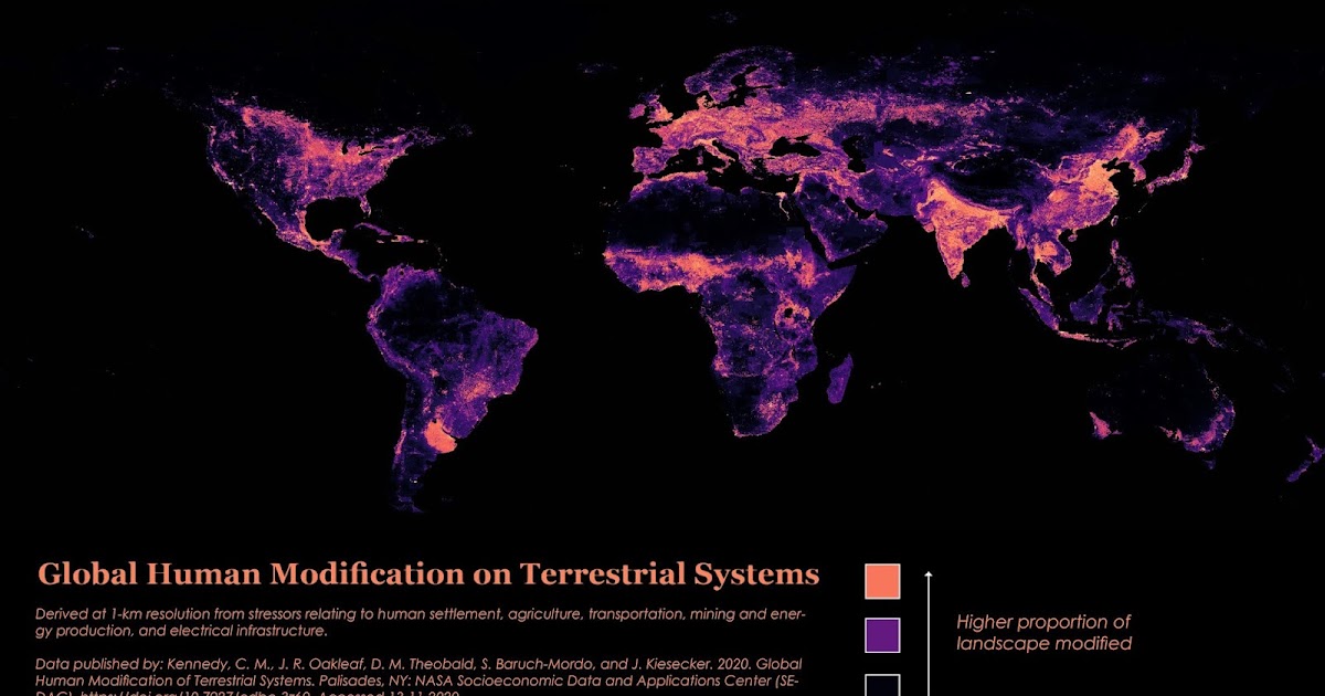 The Human Impact on the Earth's Surface