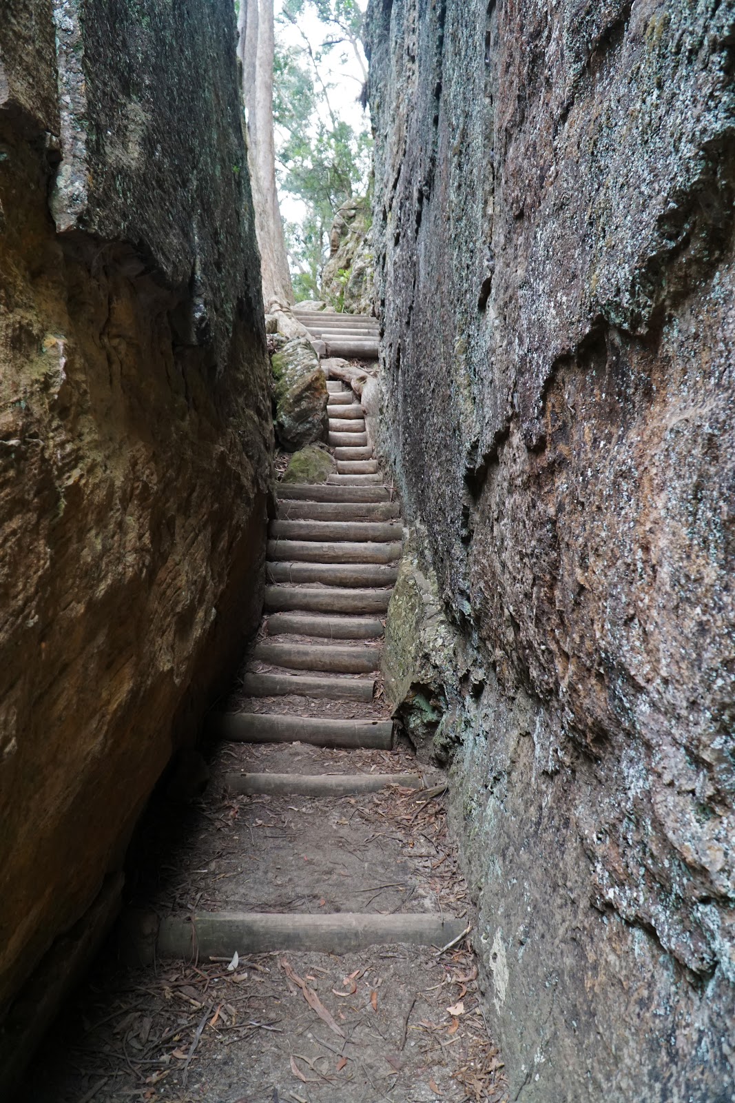Glow Worm Tunnel Walk Track (Wollemi National Park) ~ The Long Way's Better
