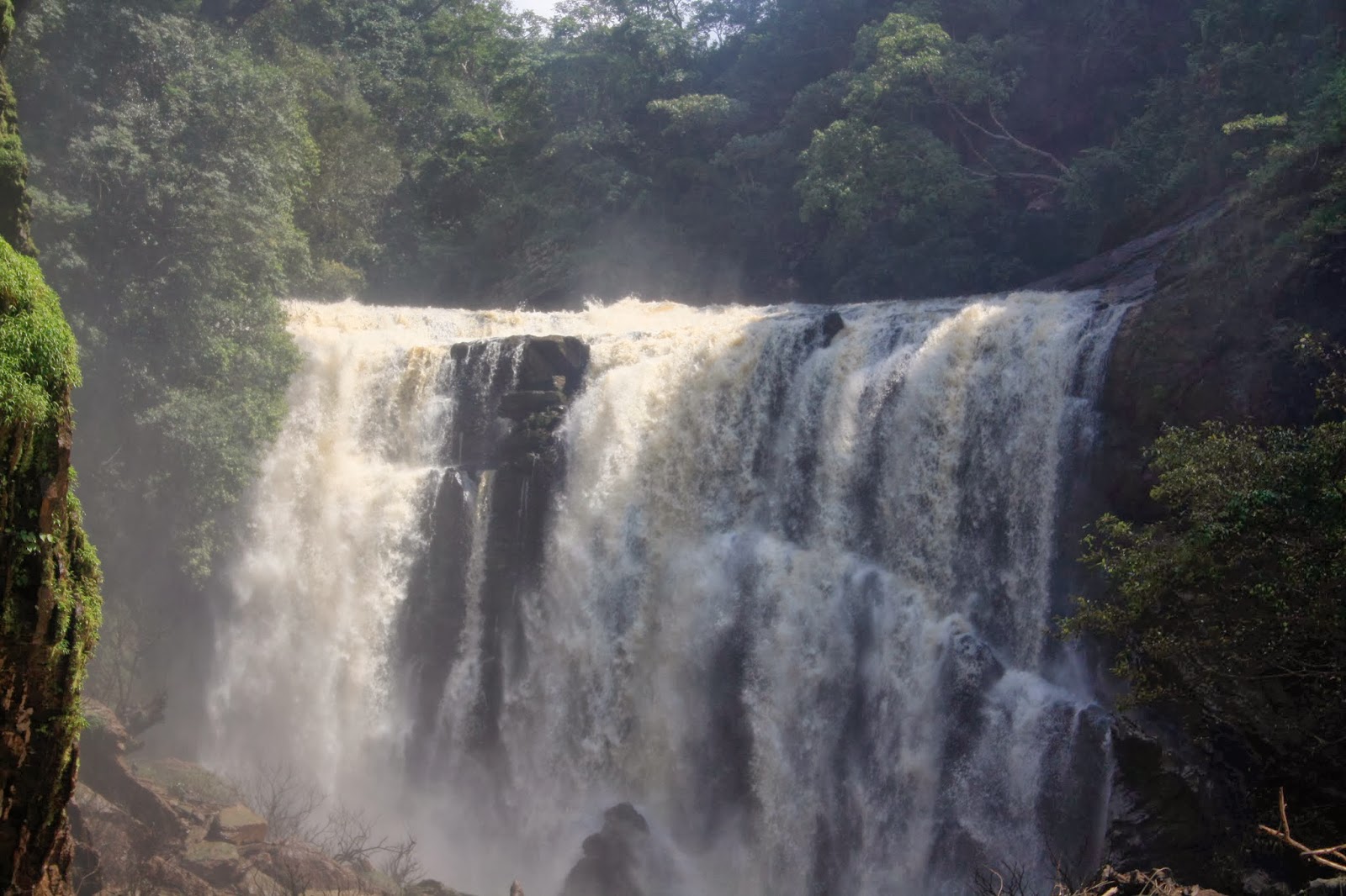 Explore and Conserve................................: Visit
