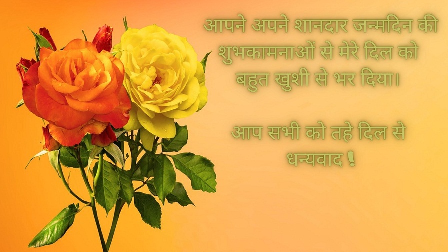 Thanks For Birthday Wishes In Hindi Thank You Message thanks-for-birthday-wishes-in-hindi-thank-you-message