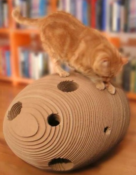 Je "tchatte" sur les Chats et le Carton ;-) - Ma Maison est en Carton