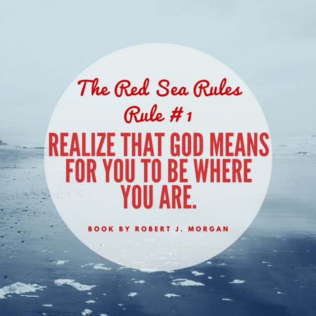 Thoughts from Scott: The Red Sea Rules - by Robert Morgan