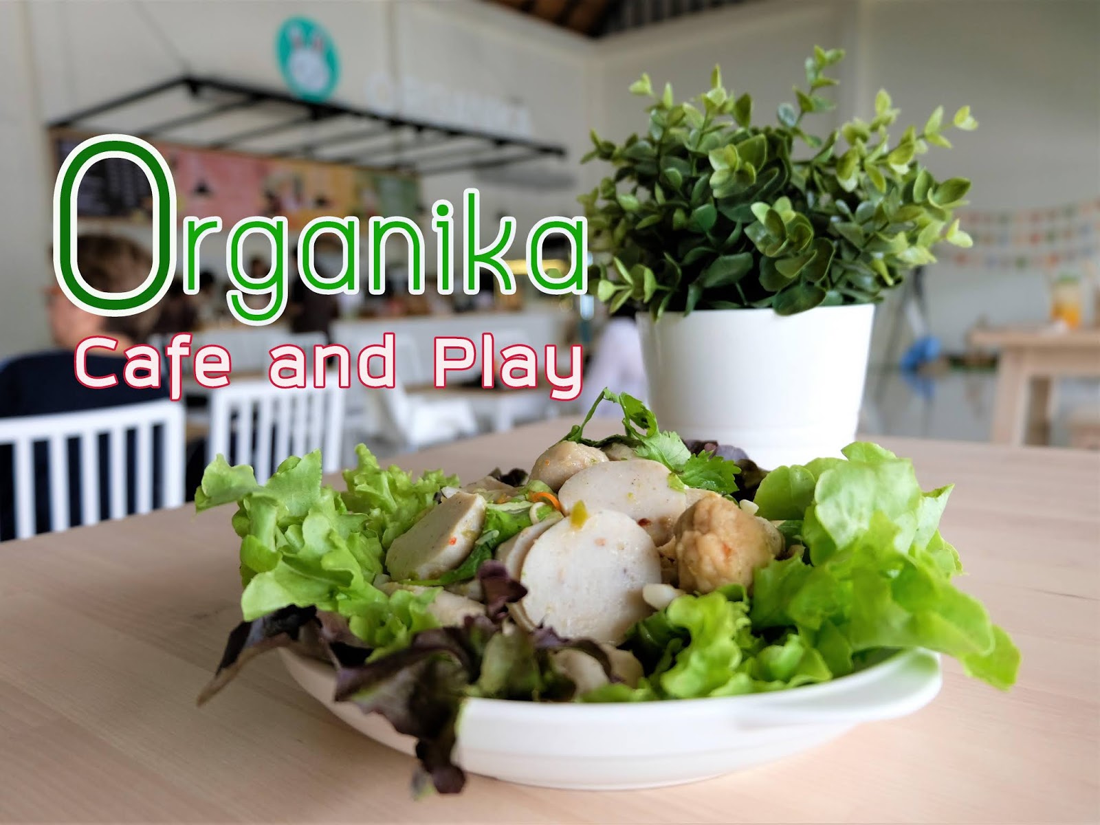 Organika Cafe and Play คาเฟ่แม่ลูกอ่อน - กินแก้มตุ่ย ตะลุยเที่ยว