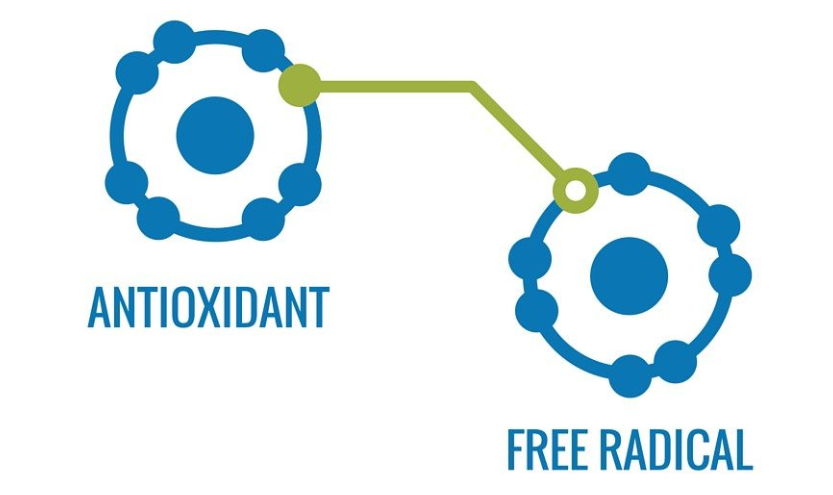 5 Manfaat Antioksidan dan Sumber Alami untuk Mendapatkannya - Media Berita