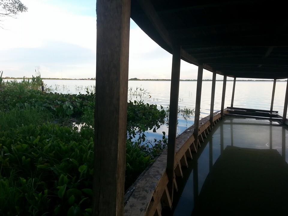 FOTOS DE AMERICA LATINA: Laguna Suarez - Trinidad - Beni - Bolivia