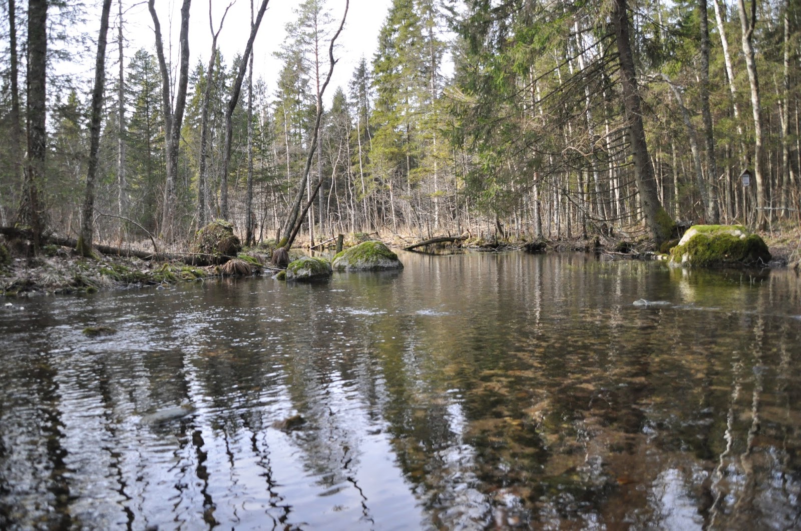 Endla looduskaitseala