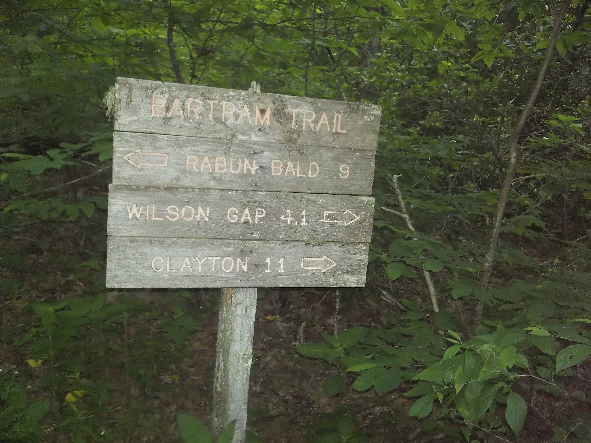 Appalachian Trail Adventures: 2020 - The William Bartram Trail ...