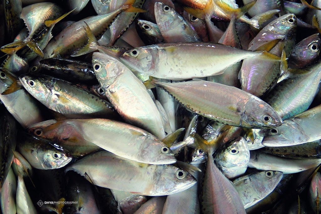 Aku, Kau & Dia: Bisik-bisik Kuala Muda