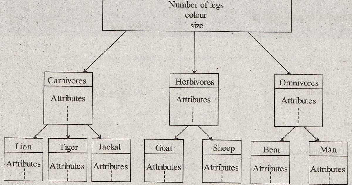 Explain the different types of inheritance - CSE Study Material